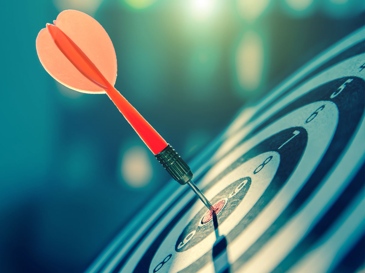 Professional goal setting and accountability - BPM